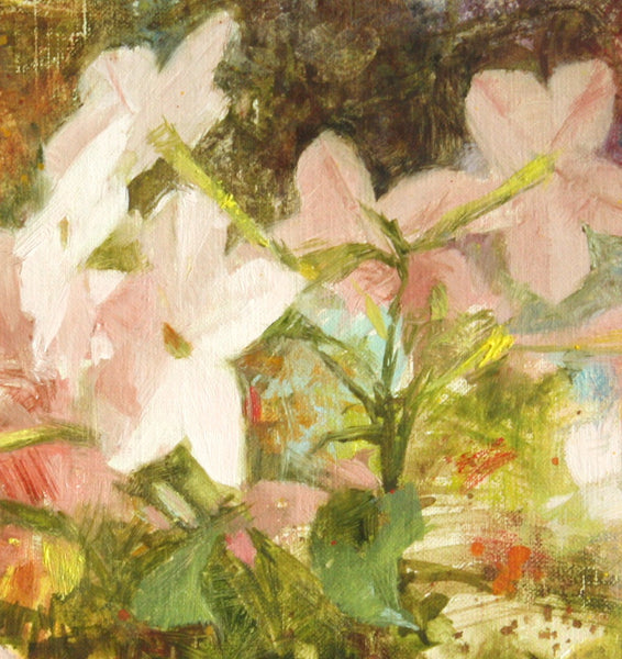 Soft pink starry flowers fine art original oil painting - Maria Waye